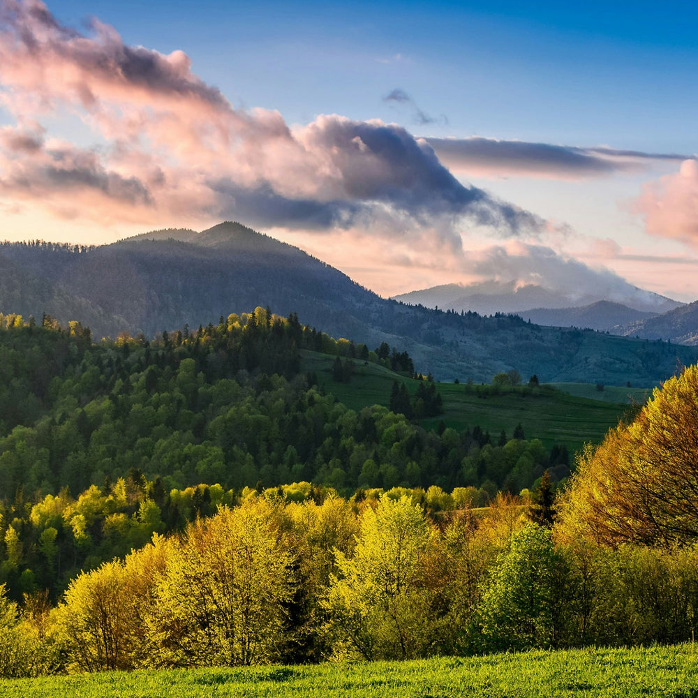 VU+ Duo 4K SE 2X DVB-S2X FBC Twin tuner 1 TB HDD Linux Receiver UHD 21